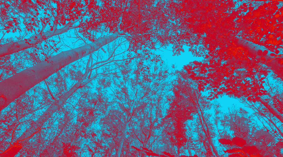 Earth Overshoot Day | Bergwaldprojekt e.V.